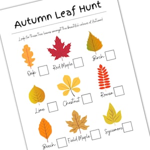 Autumn Leaf Hunt Printable for Kids | Autumn I-spy Nature Game ...