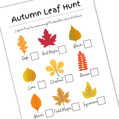 Autumn Leaf Hunt Printable for Kids Autumn Fall I-spy Game - Etsy
