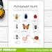 Mini-beast Hunt for Kids | Bug Scavenger Hunt, Insect I Spy Game ...