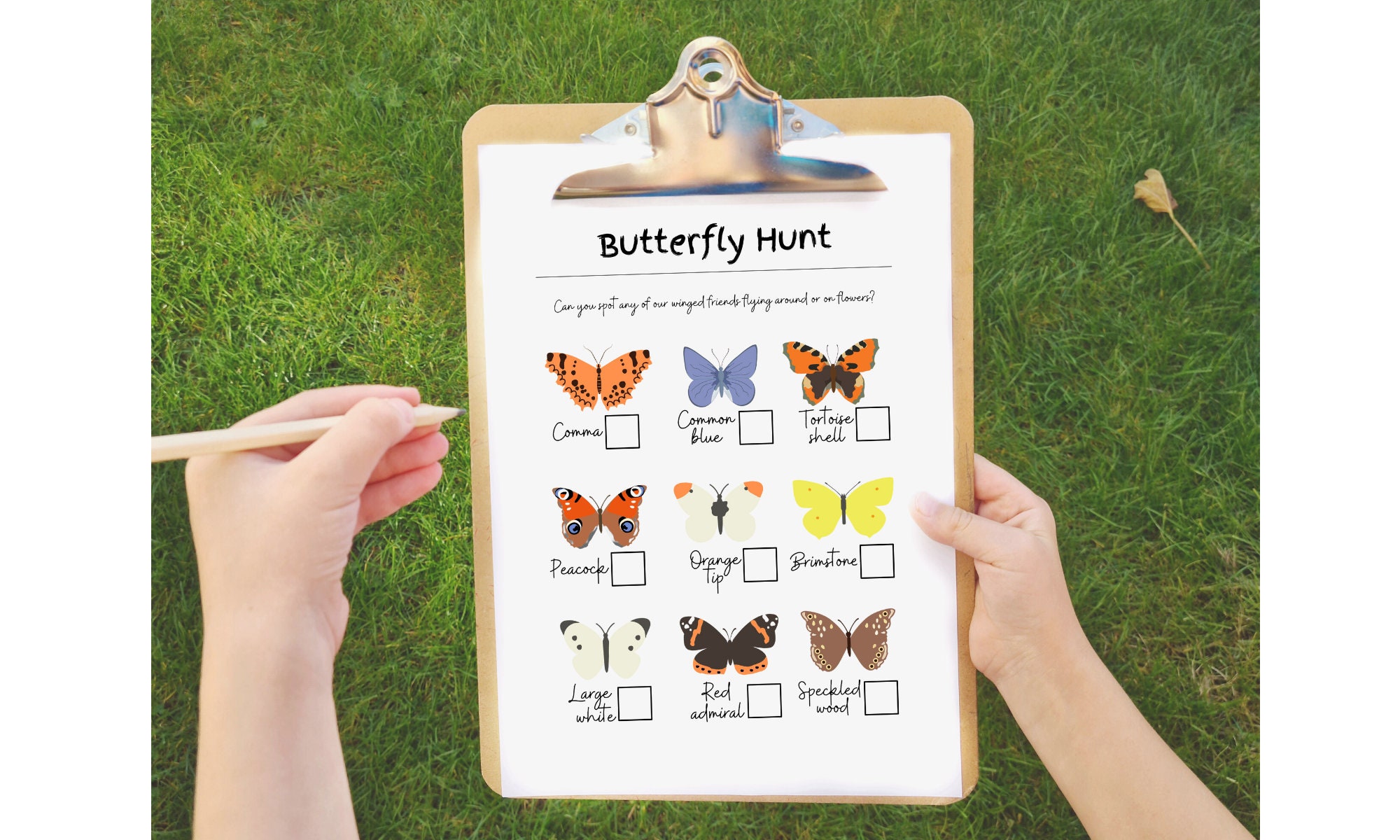 Butterfly Scavenger Hunt | British Butterfly Hunt | Printable Summer ...