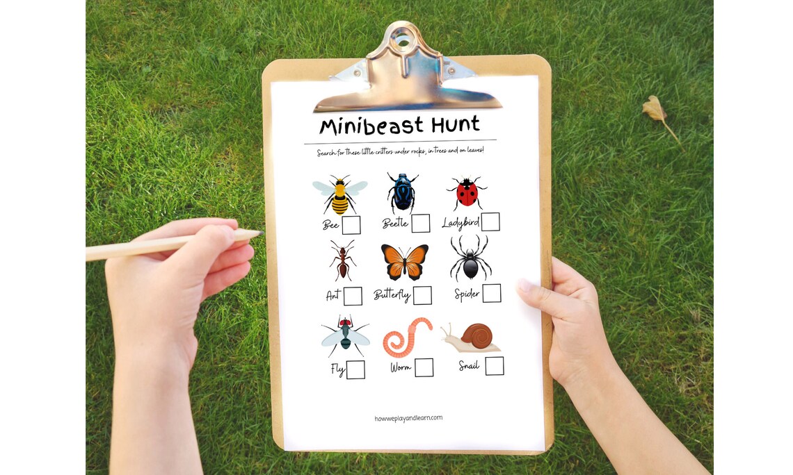 Mini-beast Hunt for Kids | Bug Scavenger Hunt, Insect I Spy Game ...