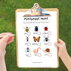 Mini-beast Hunt for Kids | Bug Scavenger Hunt, Insect I Spy Game ...