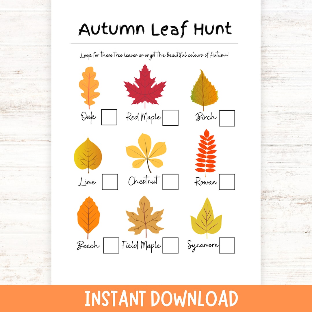 Autumn Leaf Hunt Printable for Kids | Autumn I-spy Nature Game ...