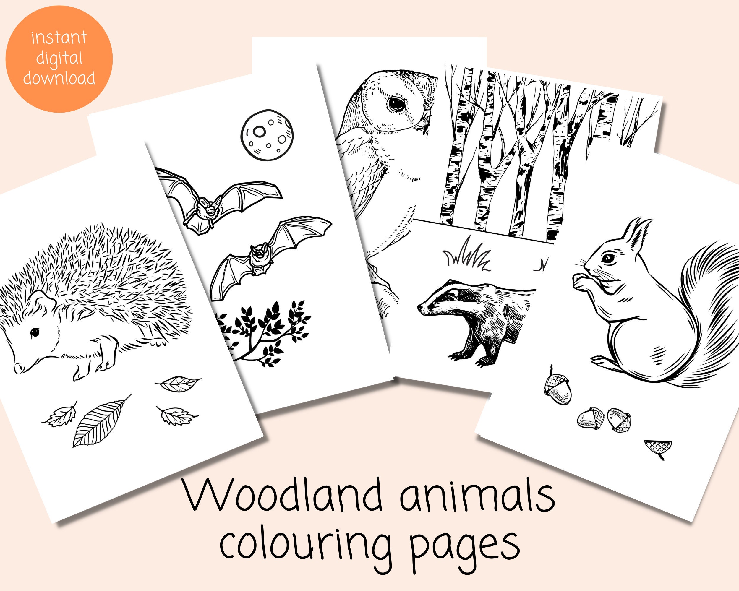 Woodland Animal Colouring Pages British Nature Printable Autumn ...