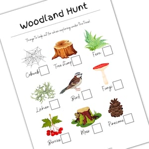 Woodland Nature Hunt | British Wildlife I Spy Game | Printable Woodland ...