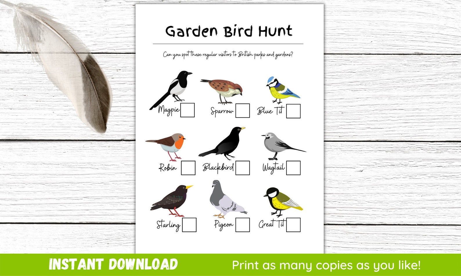 Bird Hunt Printable for Kids I-spy of Common British Garden - Etsy