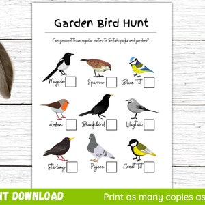 Bird Hunt Printable for Kids I-spy of Common British Garden - Etsy