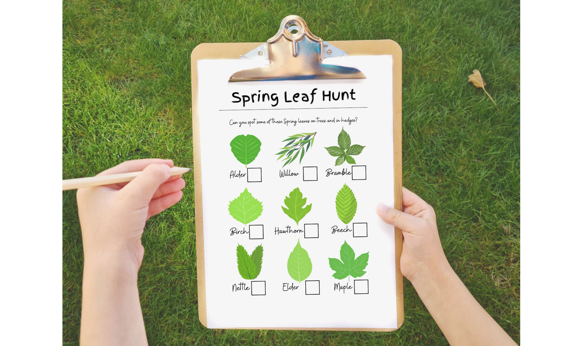 Spring Leaf Hunt | Printable Spring Forest School Scavenger Hunt ...