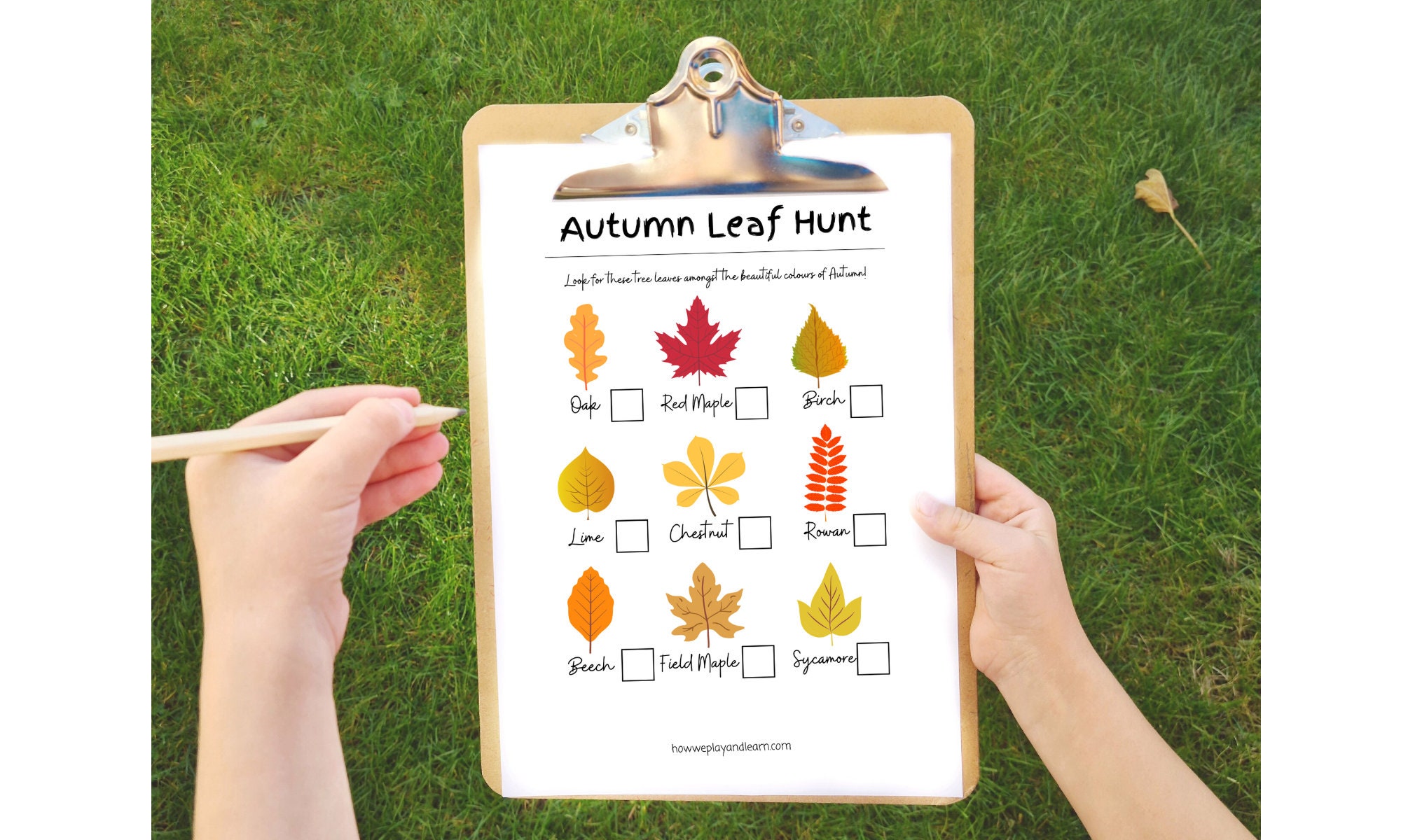 Autumn Leaf Hunt Printable for Kids | Autumn I-spy Nature Game ...