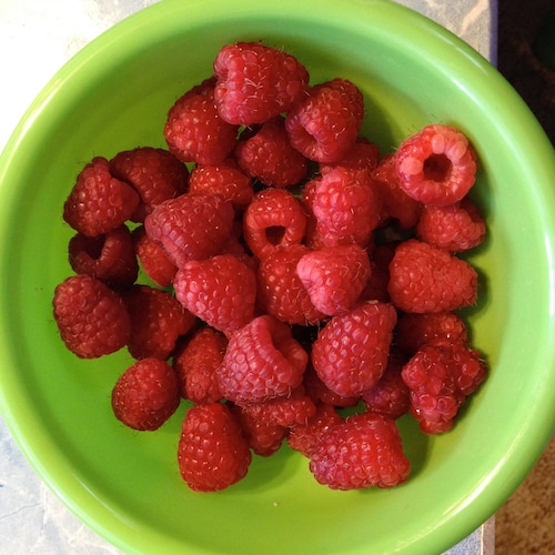 Heritage Red Raspberry Seeds Hardy - Etsy