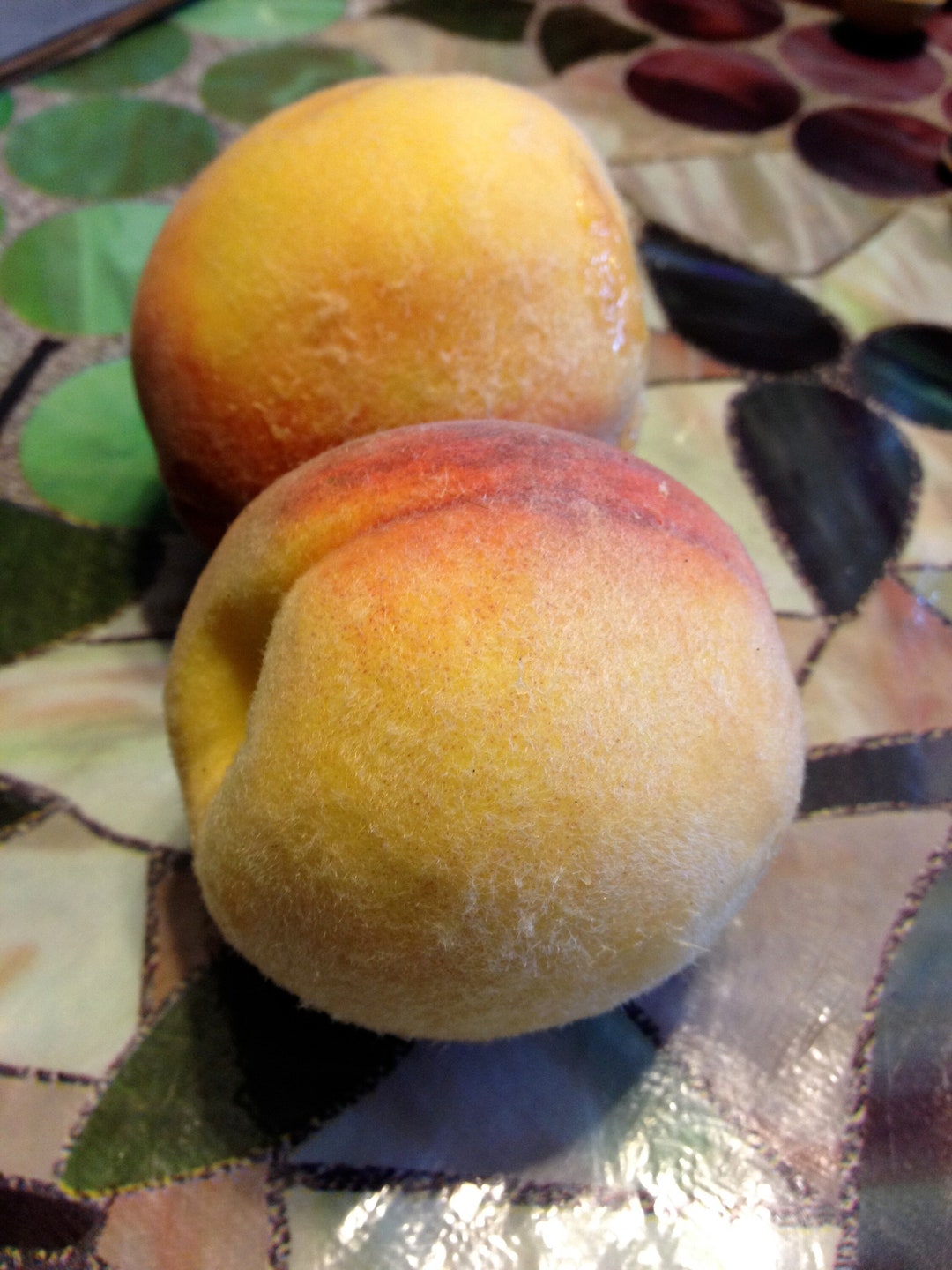 3 Hardy Peach Tree Seeds zone 5 Hardy - Etsy