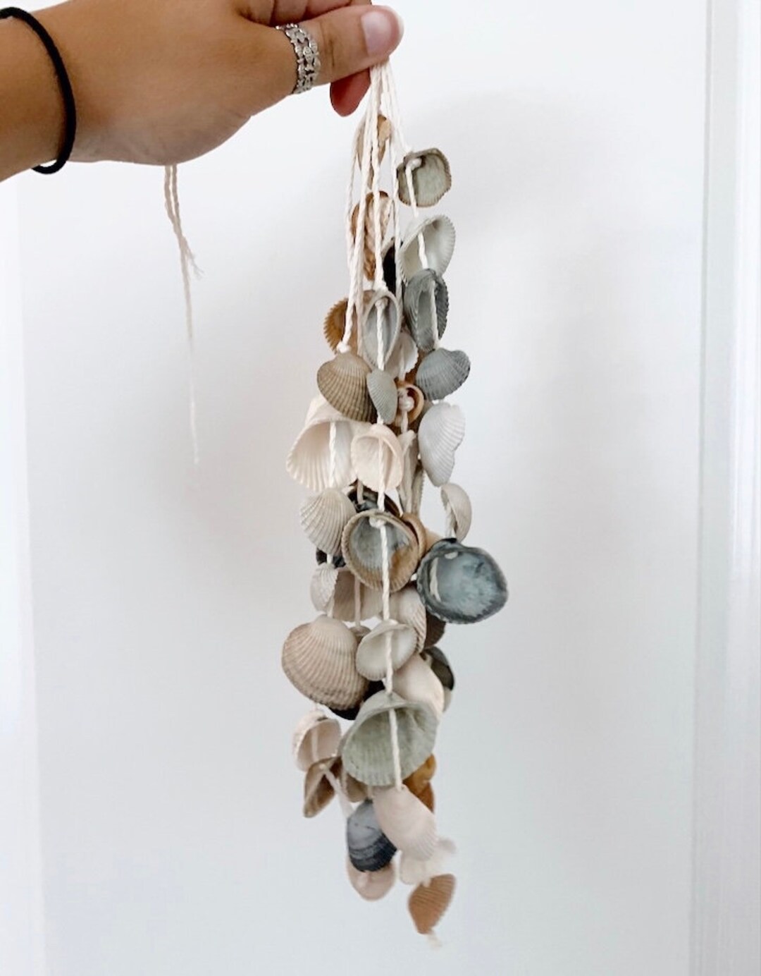 Single Seashell Hanger - Etsy