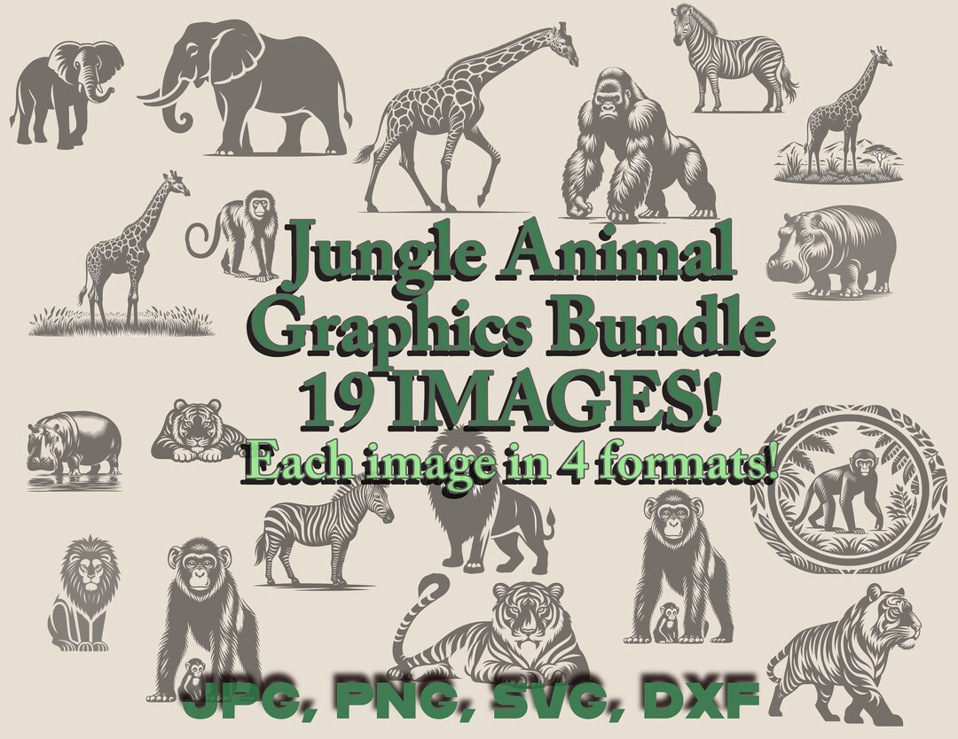 Jungle Graphic Bundle Black & White Jpg, Svg, Png, DXF Zebra, Gorilla ...