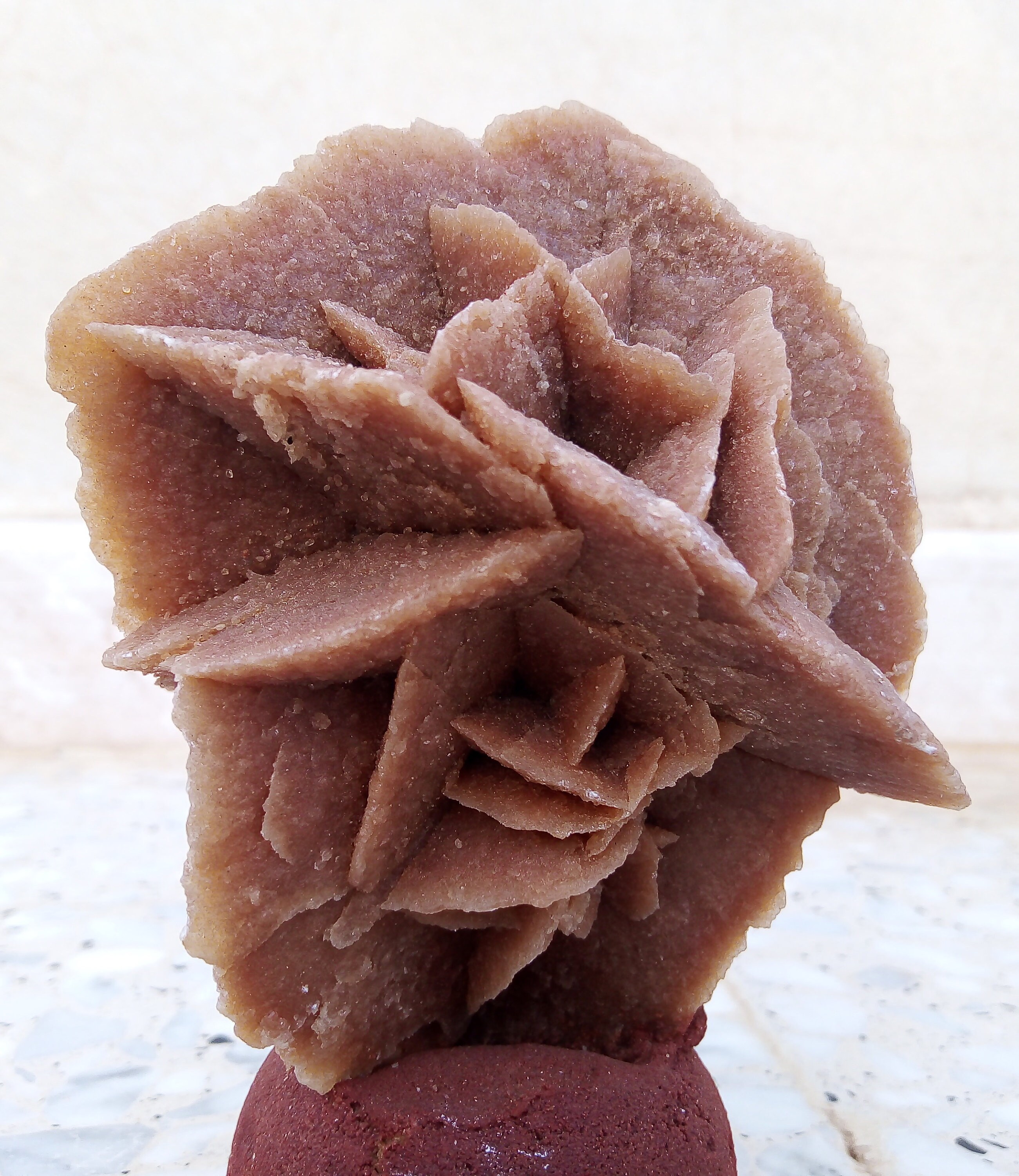Desert Rose Rose De Sables - Etsy