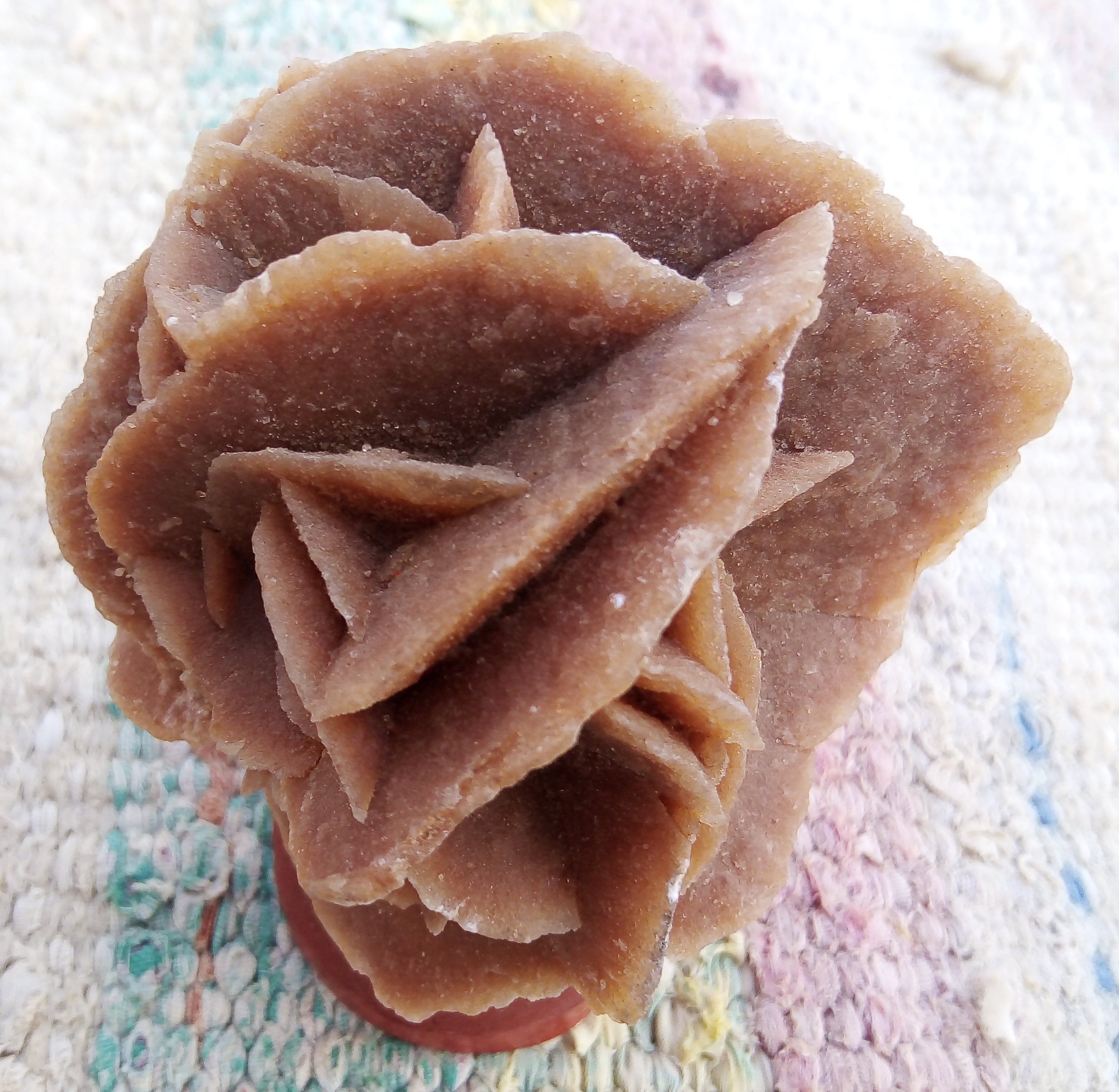 Desert Rose Rose De Sables - Etsy