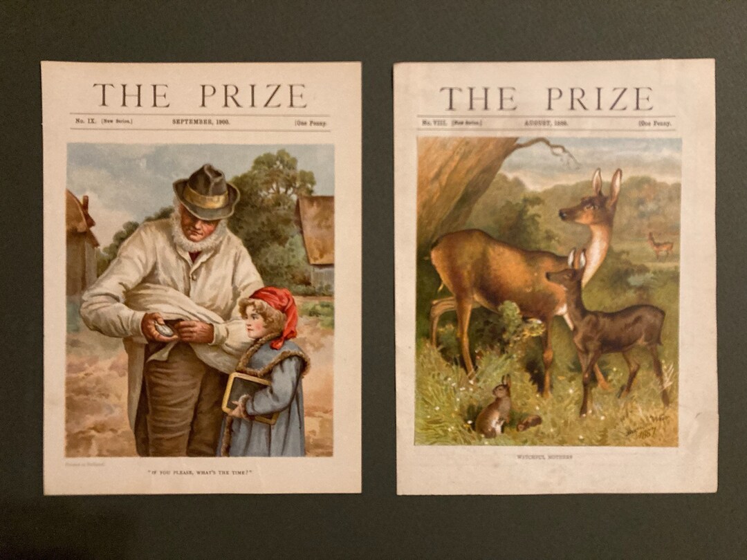 Antique Magazine Covers: the Prize - Etsy