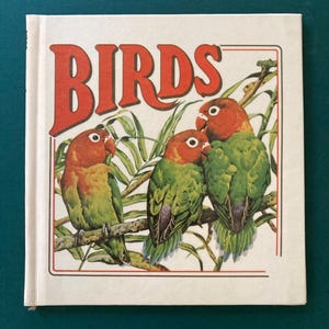 What Makes a Bird A Bird All About Birds. 4 Vintage Books. - Etsy