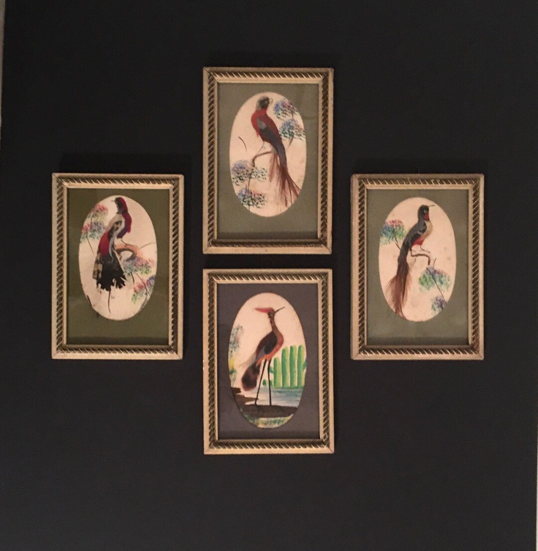 Vintage Framed Bird Art - Etsy