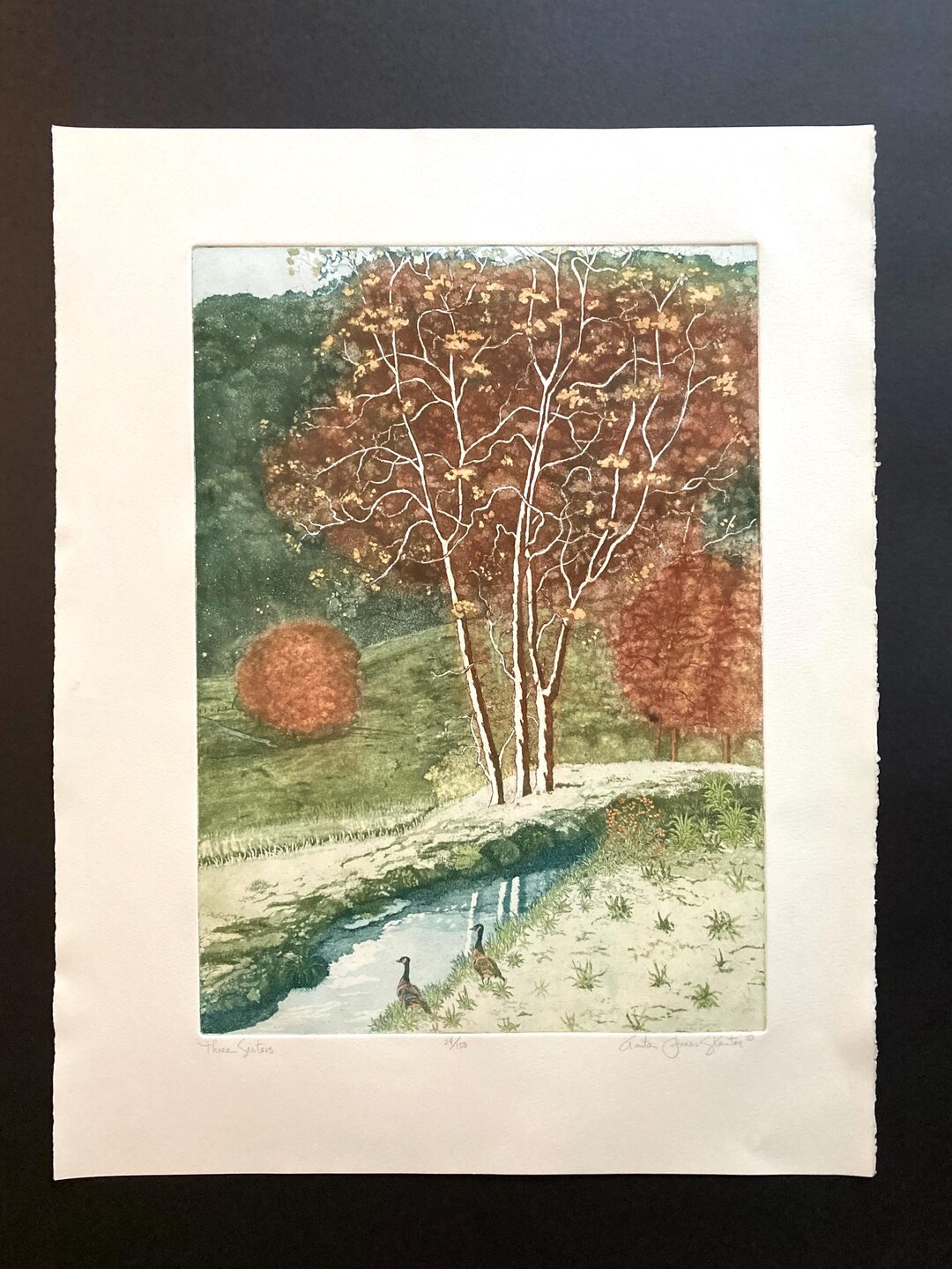 Three Sisters: Hand Colored Engraving by Artist Anita Jones Stanton. - Etsy