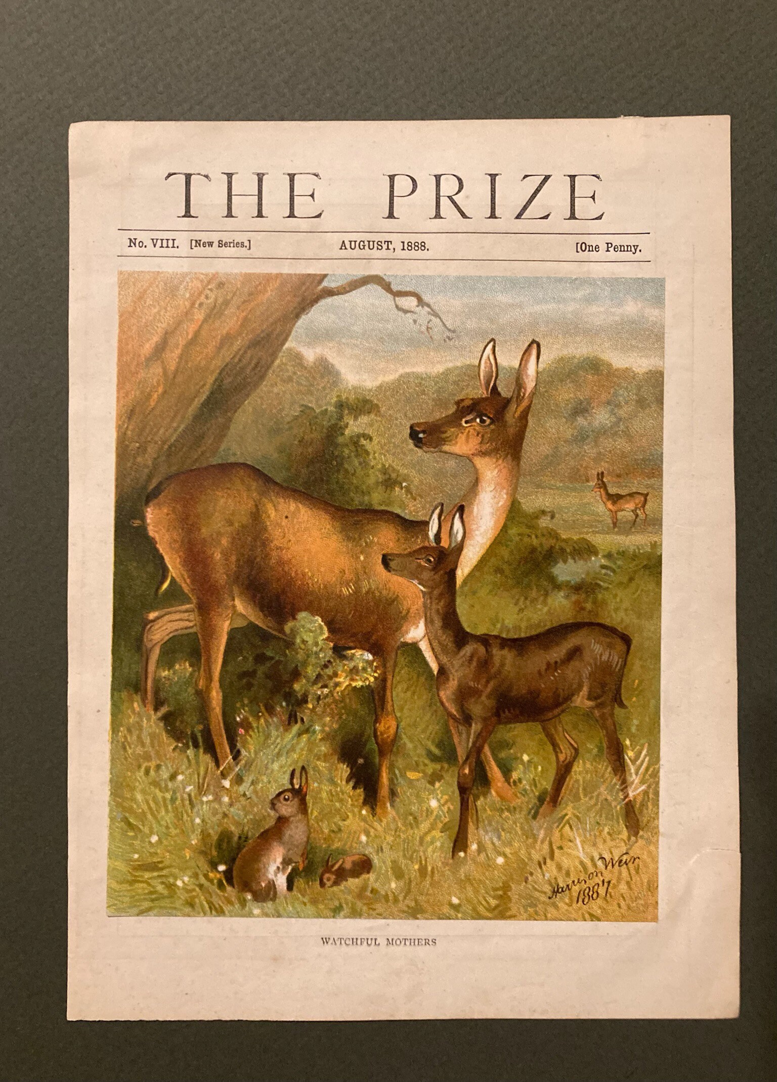 Antique Magazine Covers: the Prize - Etsy