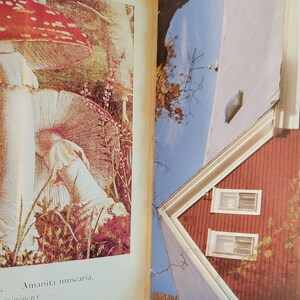 Autumn Flip Flop Junk Journal, Notebook, Diary, Memory Book - Etsy Canada