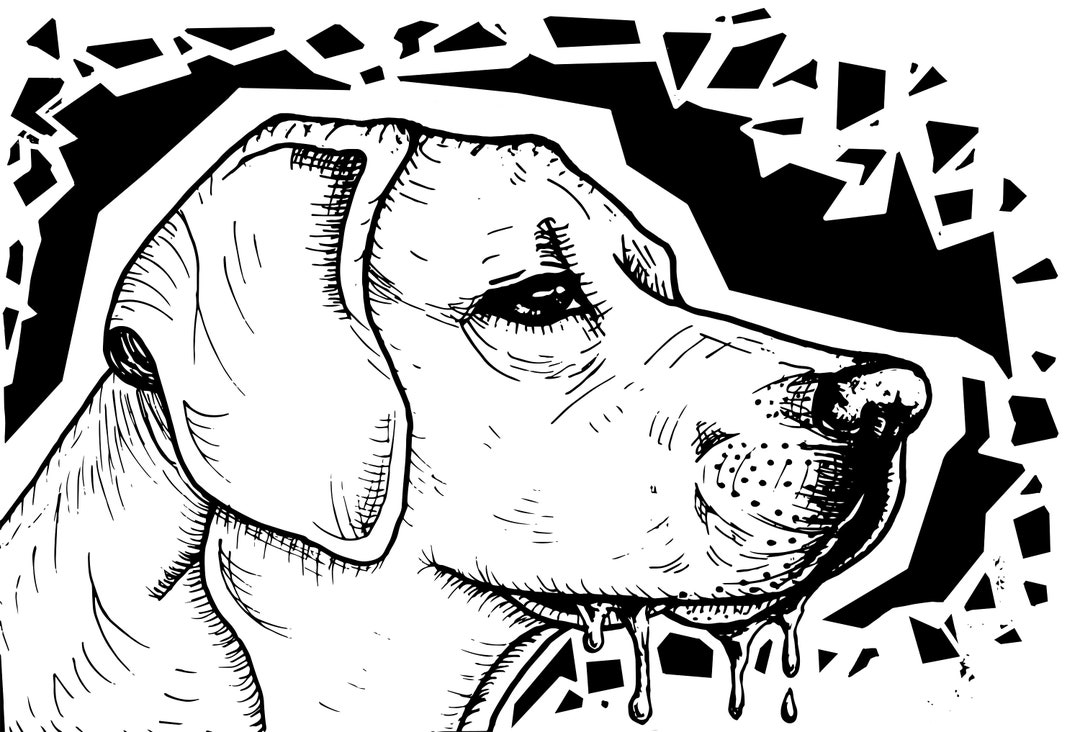 Custom Colouring Pages - Etsy