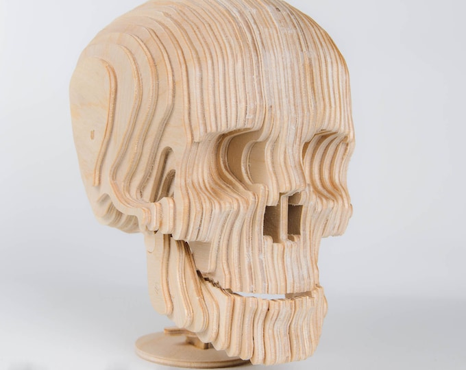 Skull Model Human Wooden Kit 3d Woodcraft - Etsy