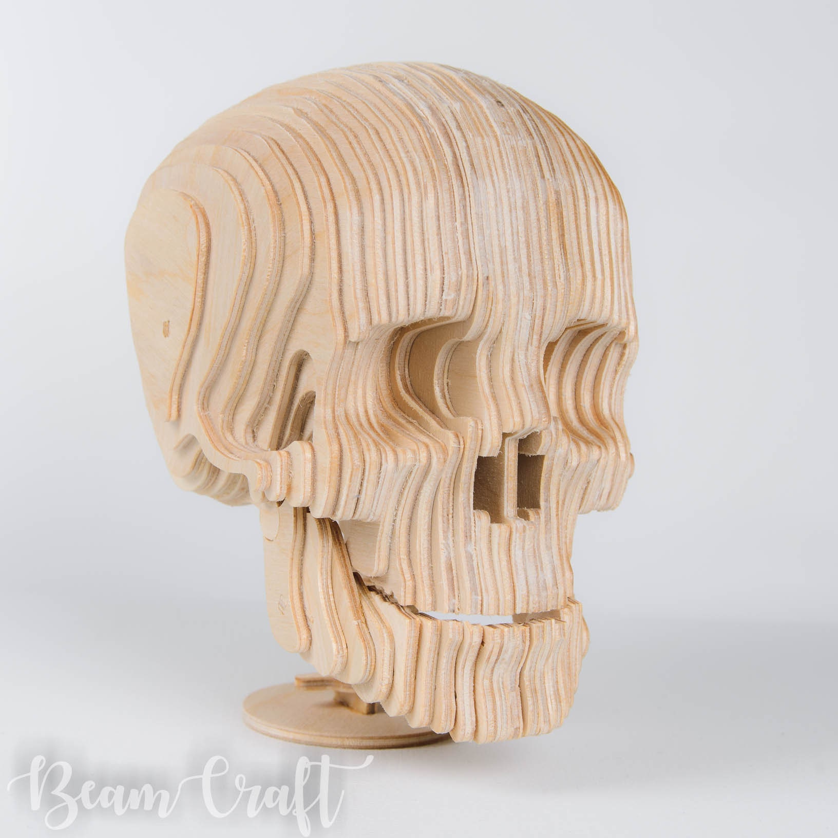 Skull Model Human Wooden Kit 3d Woodcraft | Etsy