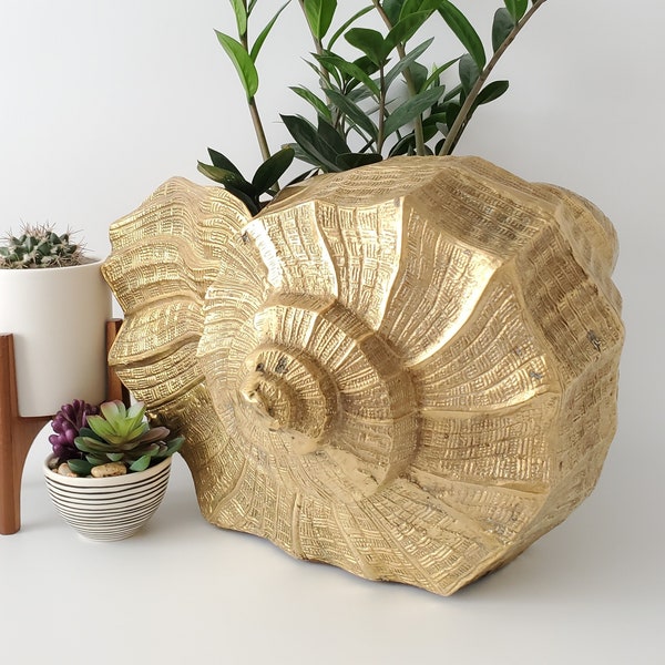 Shell Planter - Etsy