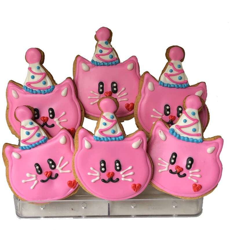 Cat Animated Set of 6 Crunchy Shortbread Cookies Individually - Etsy