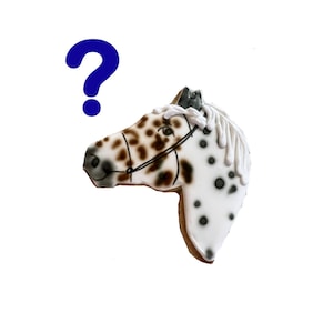 Race Horse Jockey Cookies- Set of 6 Crunchy Shortbread Cookies ...