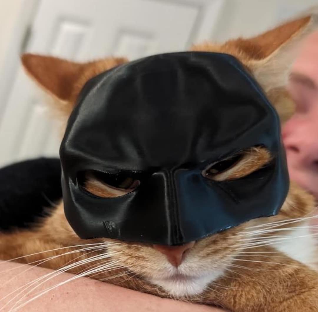 Batcat Mask Super Hero Mask for Cats & Small Dogs Pet Accessories Pet ...