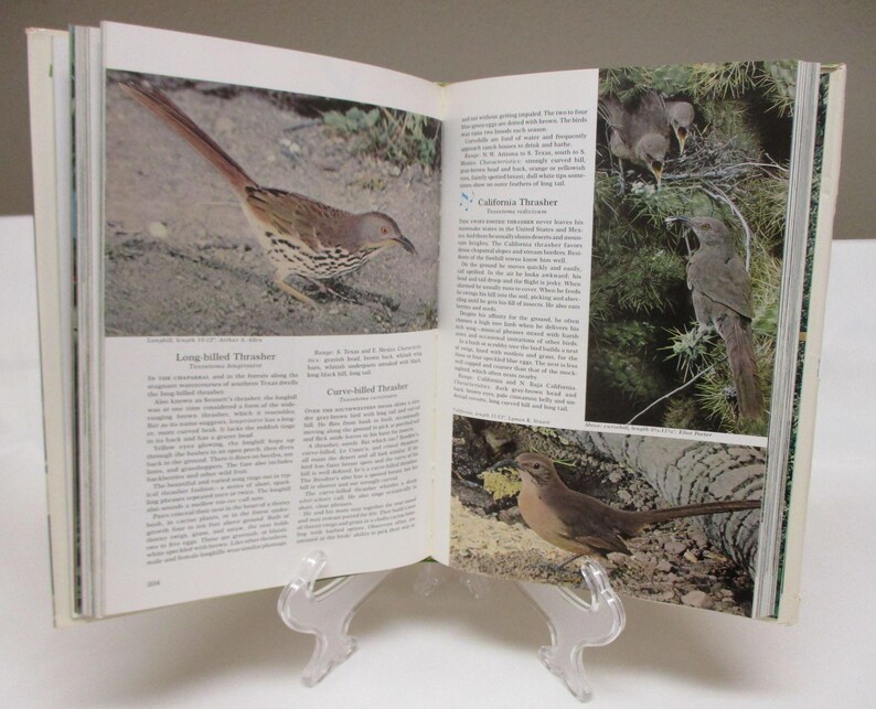Book Bundle: North American Birds - Etsy