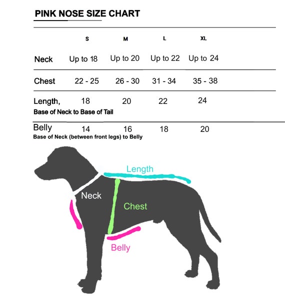 How Do You Measure A Dog For Clothes