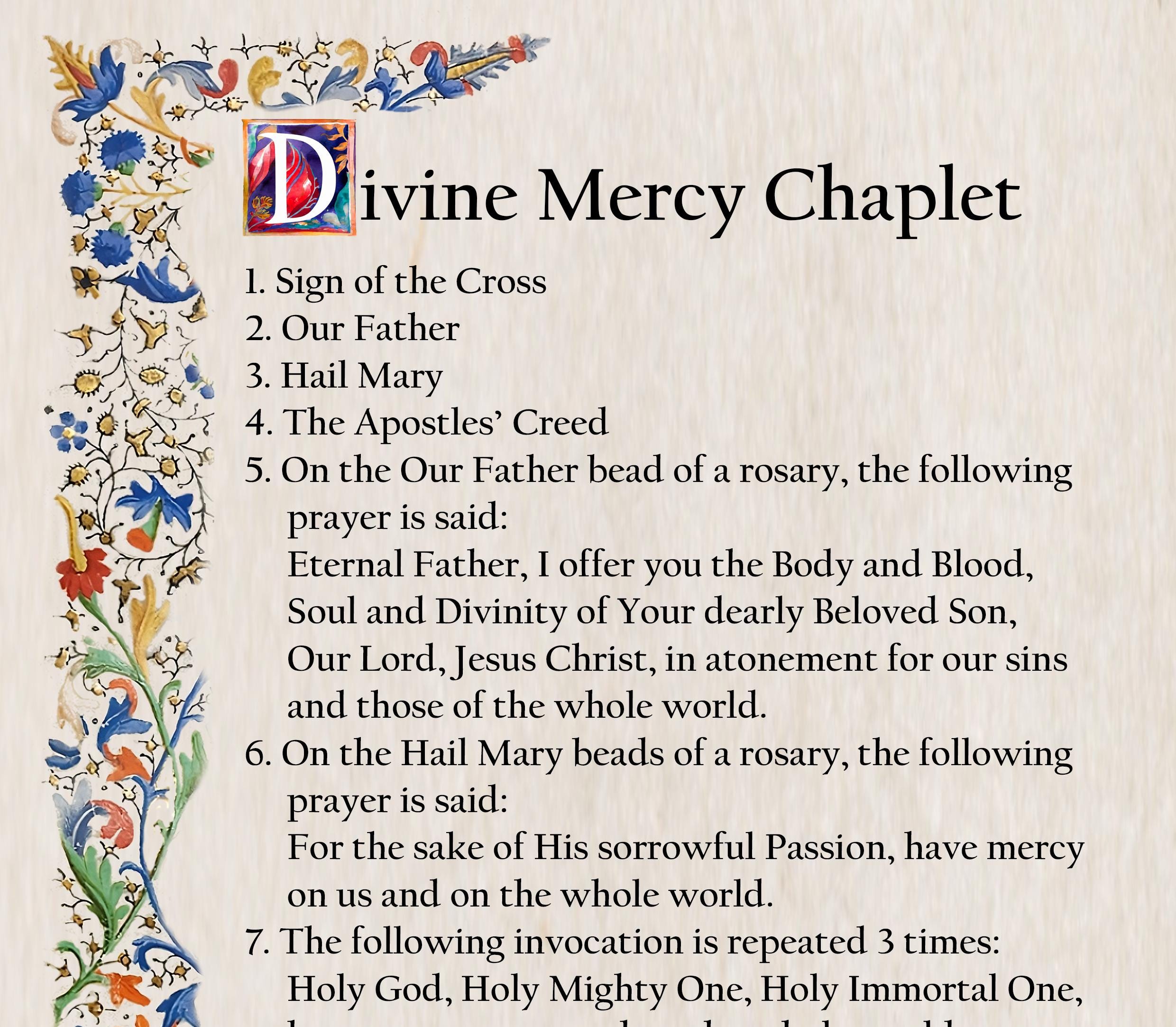 Divine Mercy Chaplet Prayer, Our Father Prayer, Catholic Prayer Card ...
