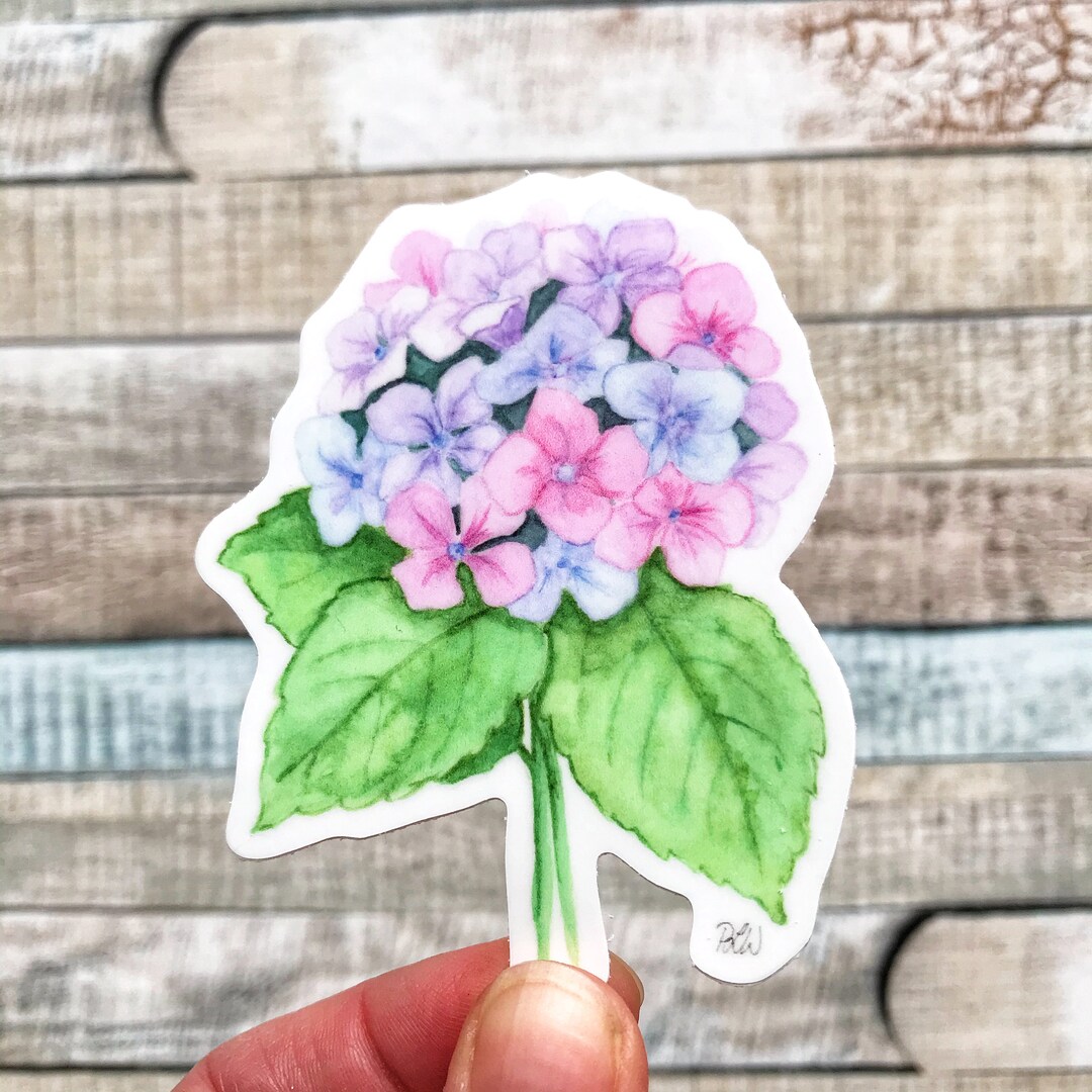 Hydrangea Vinyl Sticker - Etsy