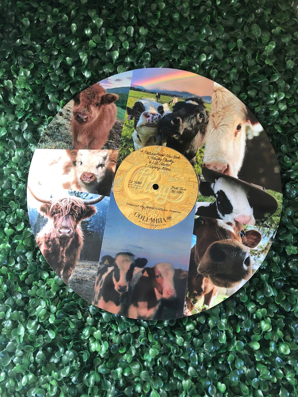 Fluffy Cows/ Western Cows/ Cute Cow/ Custom Vinyl Records/ Personalized ...