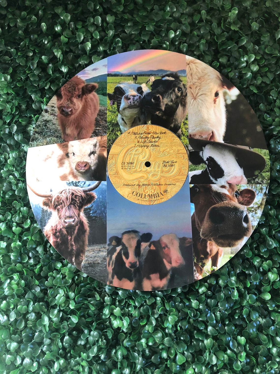 Fluffy Cows/ Western Cows/ Cute Cow/ Custom Vinyl Records/ | Etsy