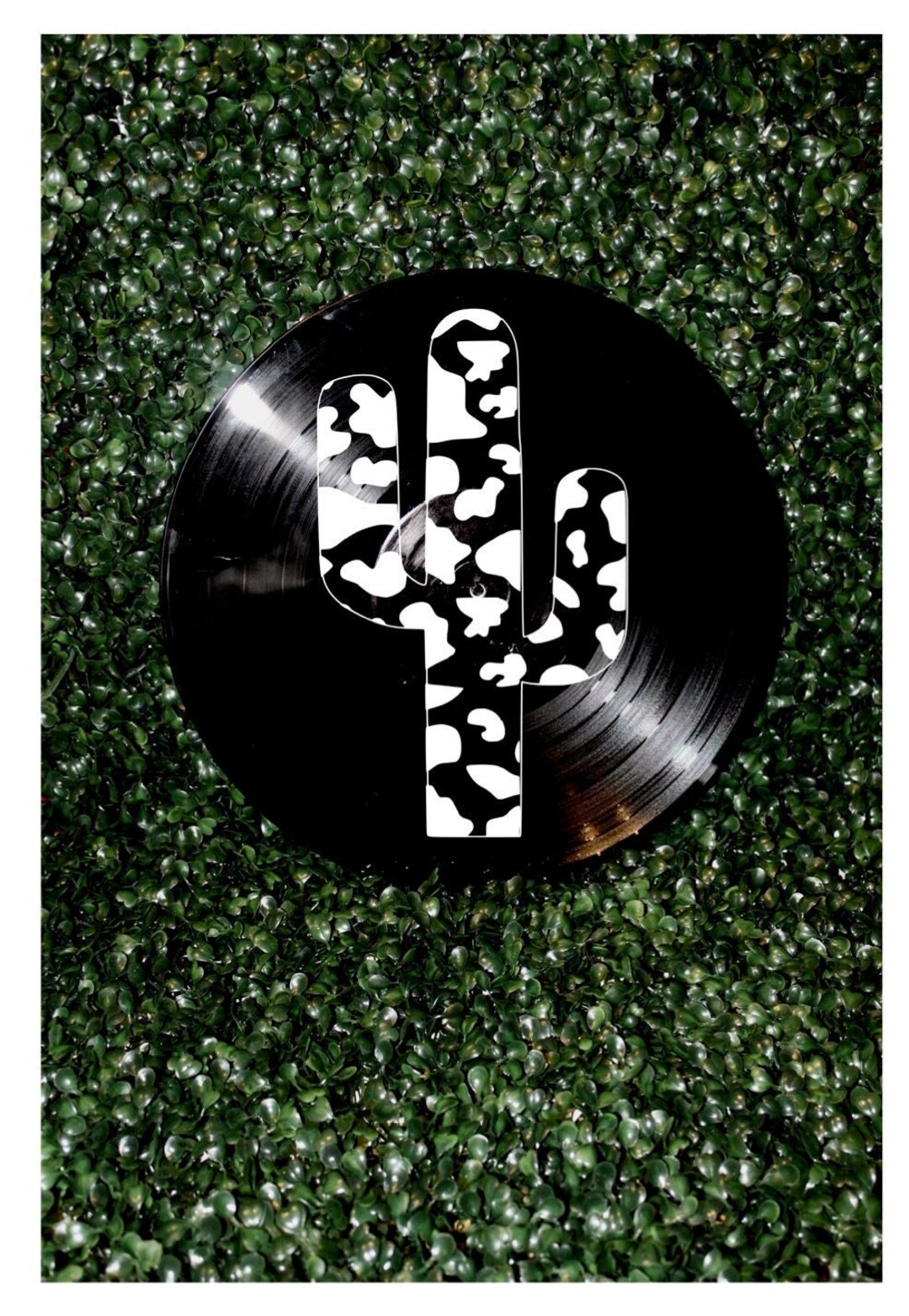 Western Cow Print Cactus/rodeo Decor/ Personalized Wall Decor/ Vinyl ...