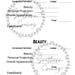 Pageant Score Sheet, Ready to Print Score Sheet, All Age Beauty Score ...