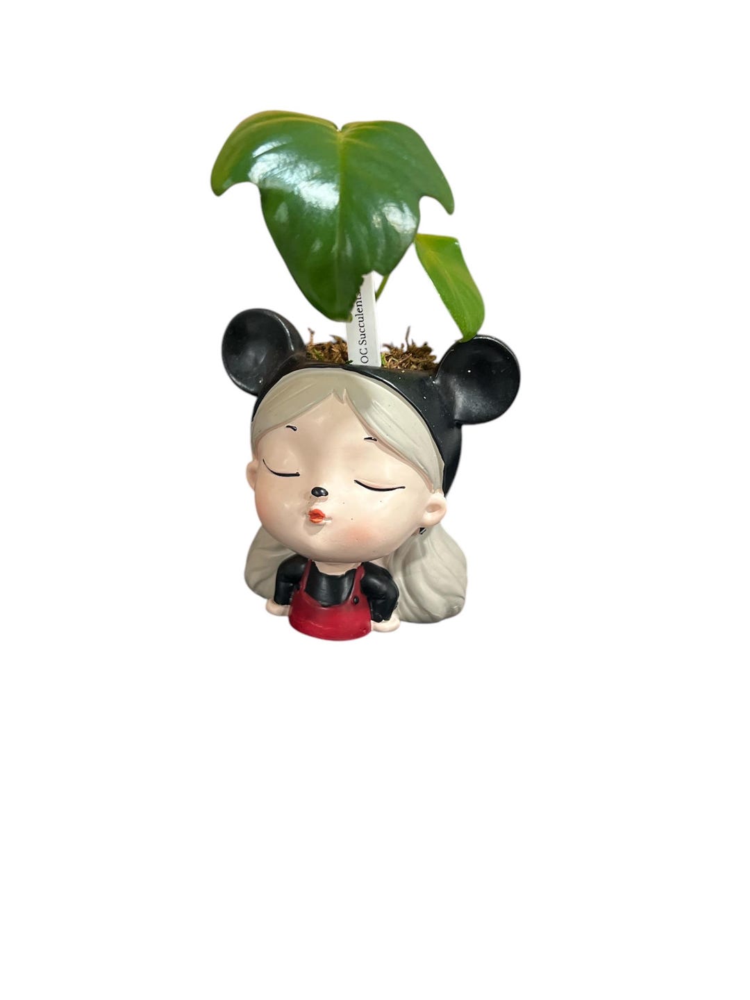 Cute Girl Mini Houseplant Philodendron Dragon Tail Flower Pot, Cosplay ...