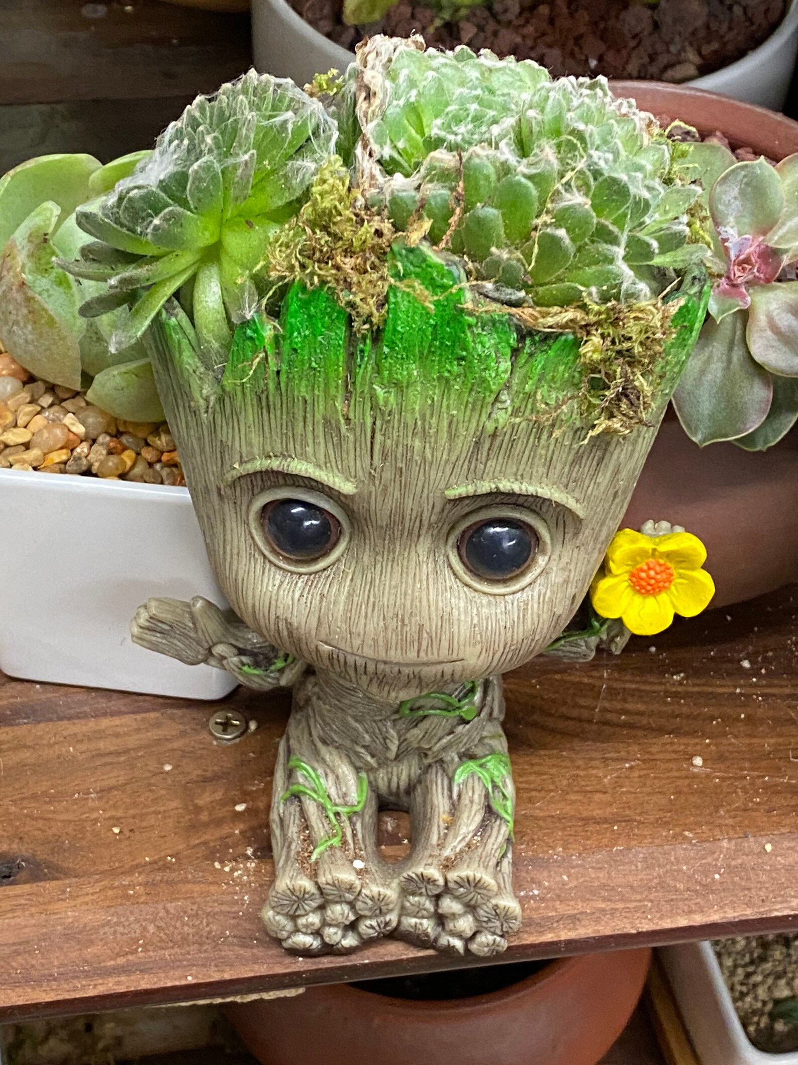 Baby Groot Succulent Arrangement Pot Planter Gift Birthday - Etsy