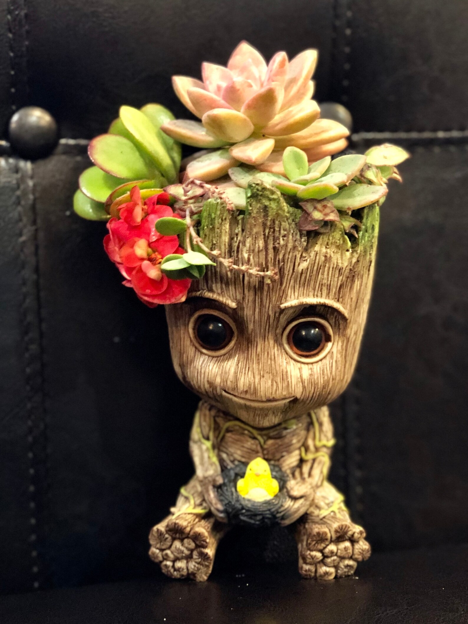 Baby Groot succulent arrangement planter gift birthday gift - Etsy.de