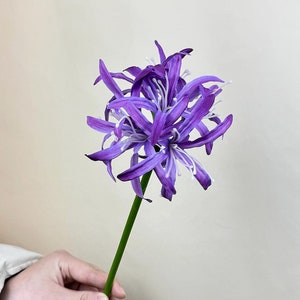 Artificial Purple Lycoris Radiata, Red Spider Lily, Floral Decor, Fake ...