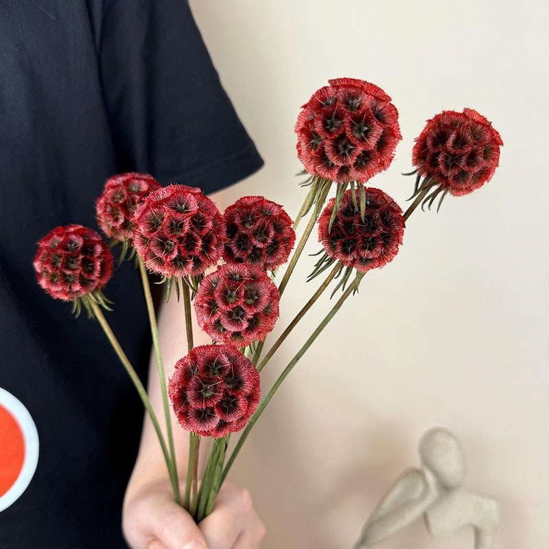 Dried Red Flower Ball - Etsy