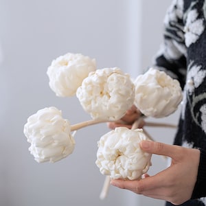 Bleaching White Protea Flower Balls，preserved Protea Stems，dry Flower ...