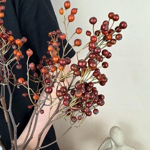 Dried Small Red Fruits Branches，natural Red Flower，dry Flower Bunch ...