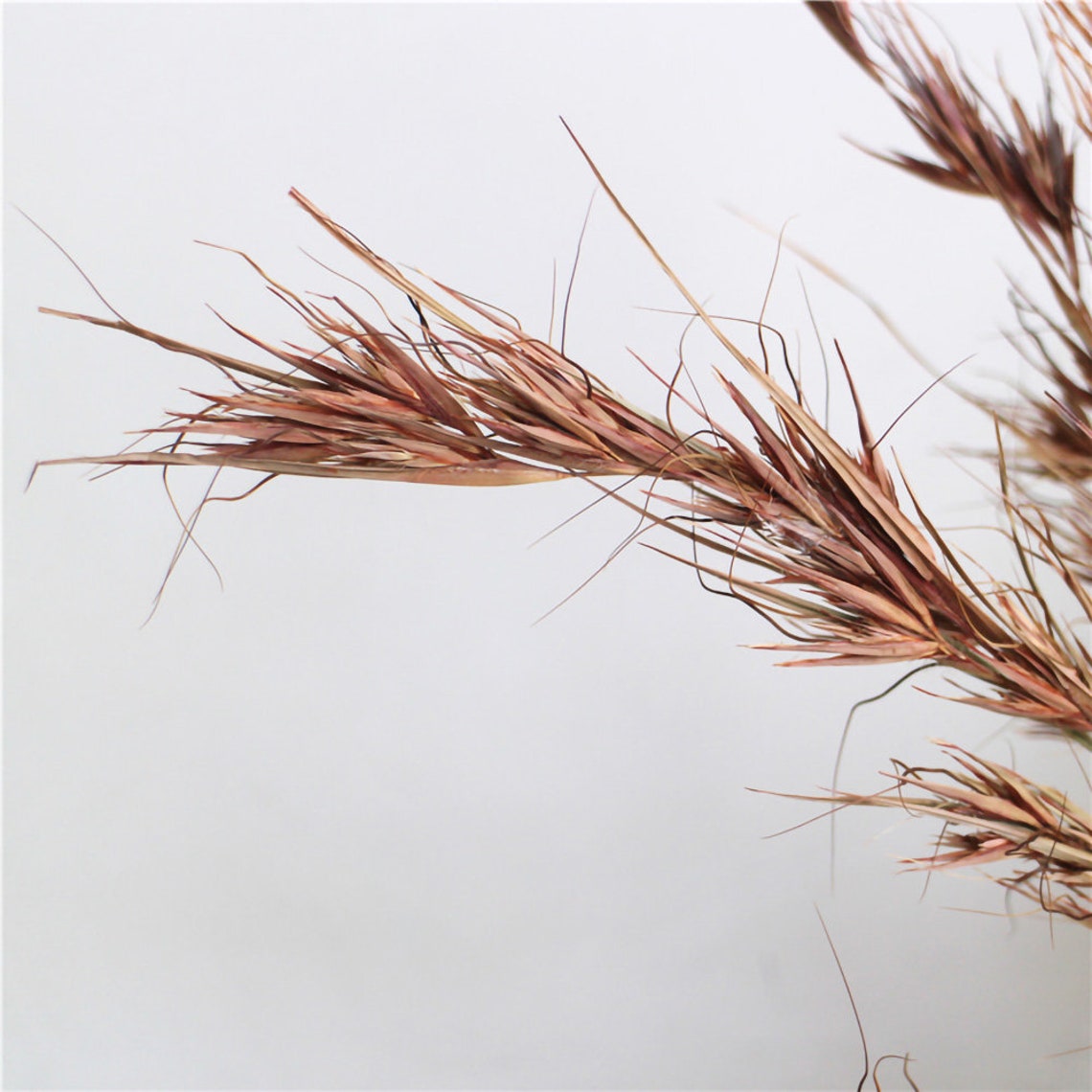 10 Pcs Dried Grass Bunch22 'natural Grass Bouquetdried - Etsy