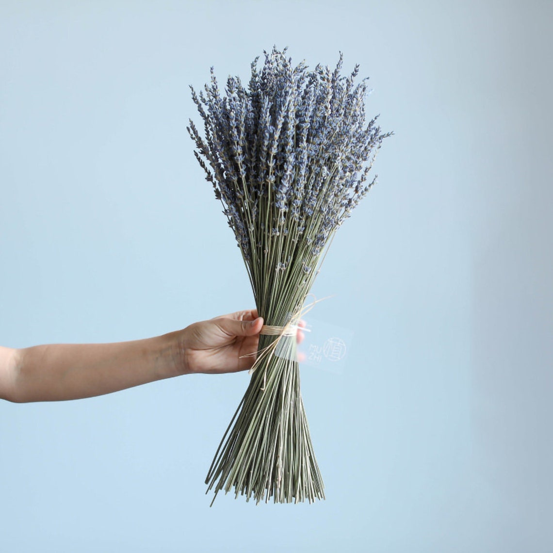 100/200 Sticks Dry Lavender Bouquetdried Natural Lavender - Etsy
