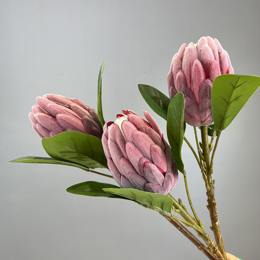 Artificial Fresh Protea Plant，high Quality Emulate Protea Flower，flower ...
